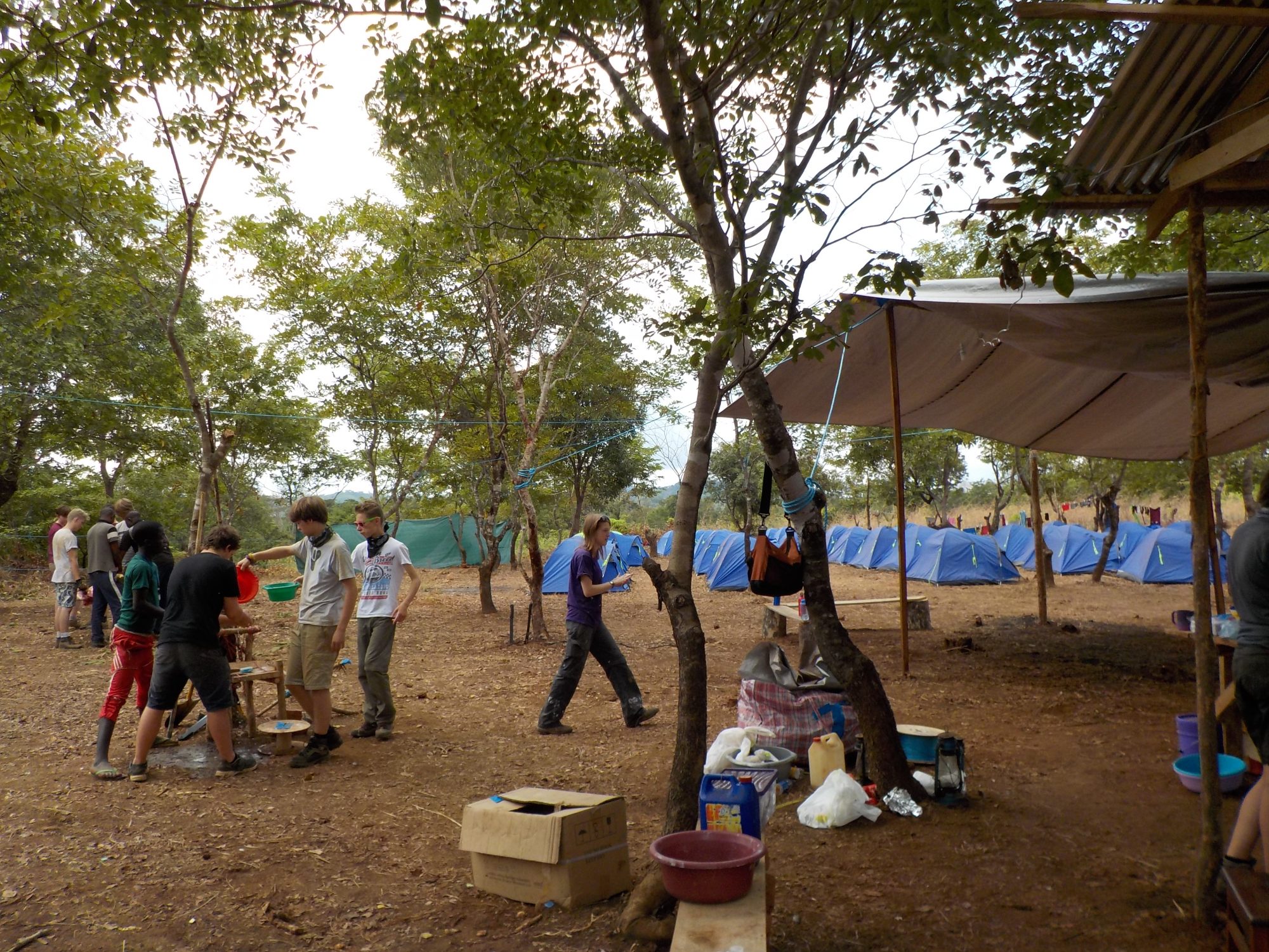 Scouts & Guides - Wild Thing Safaris